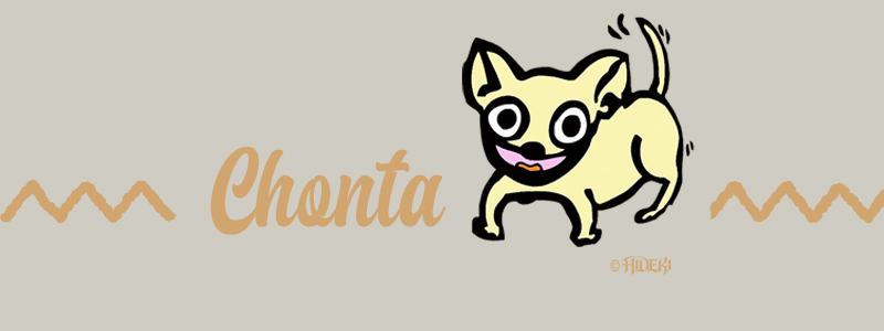 UE OFFICIAL WEB SHOP